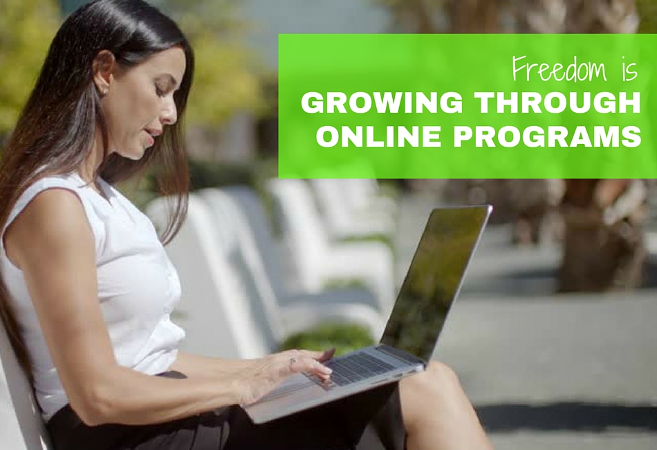 Growing Your Business With Online Programs - Petra Mayer Consulting